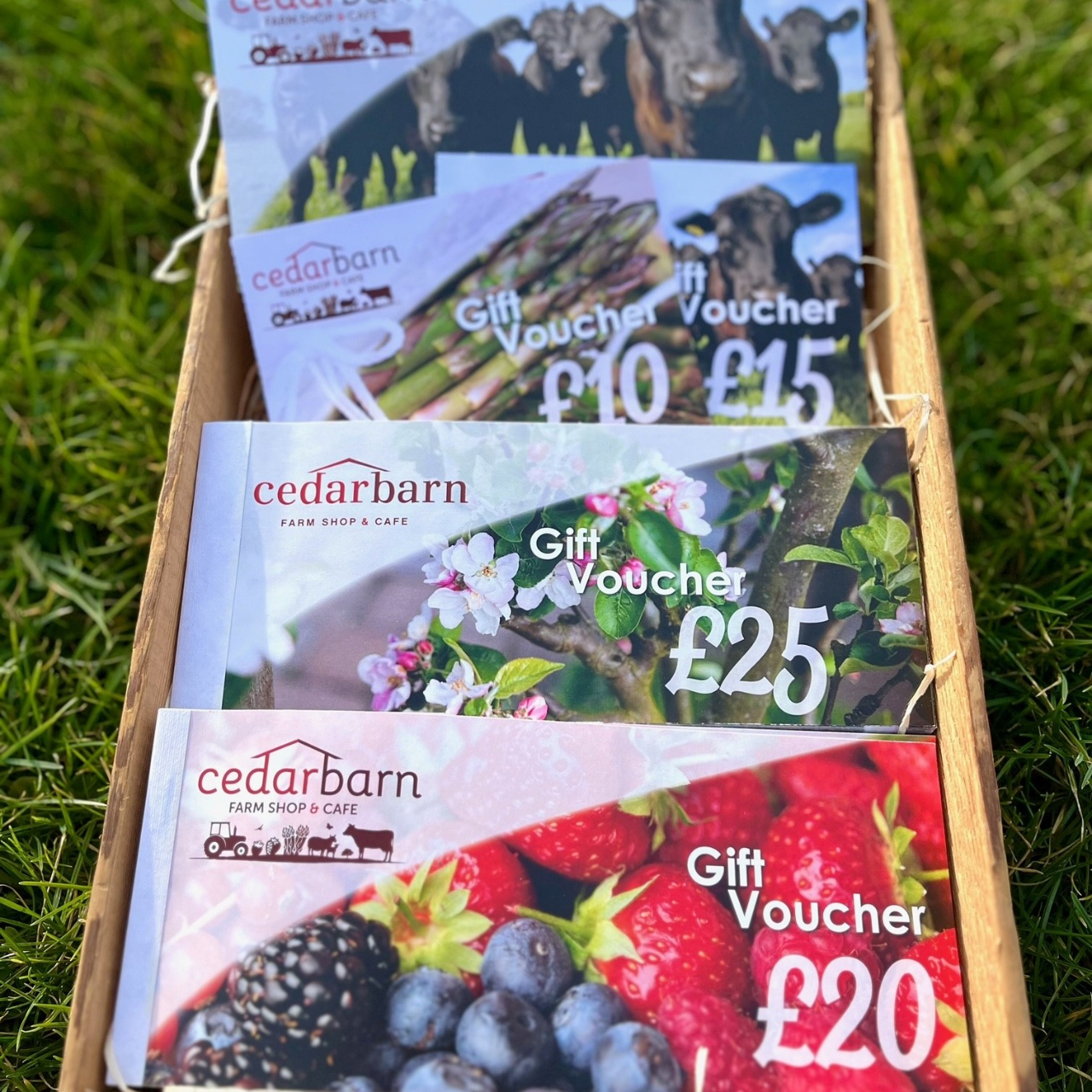 Gift Voucher – Posted – Cedarbarn Limited