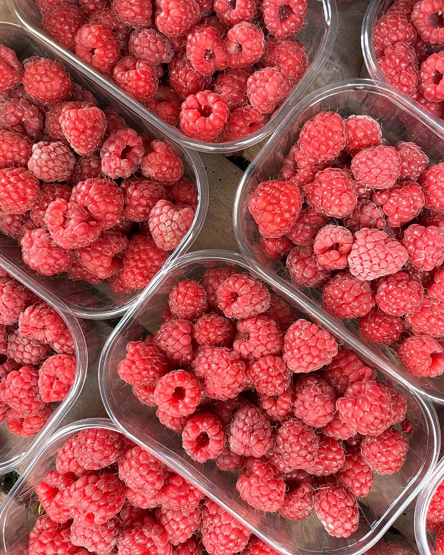 No strawbs, but lots of rasps! - Cedarbarn Limited